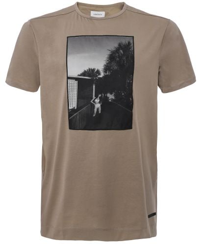 Limitato Palm Tree Graphic T-Shirt | Jules B